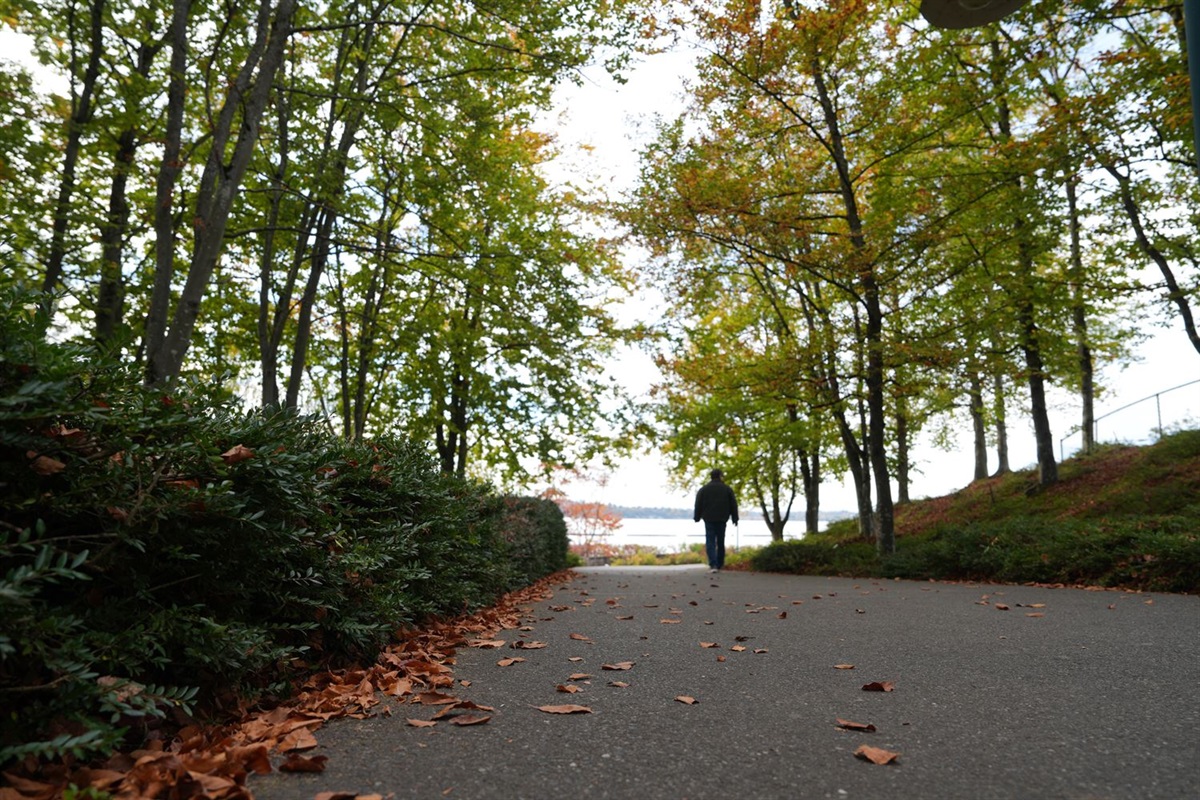 Parks and Trails | City of Renton